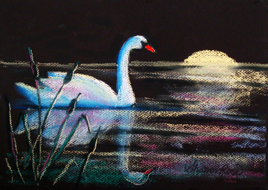 Lessons in Soft Pastel: Beautiful Swan - Creating a Masterpiece