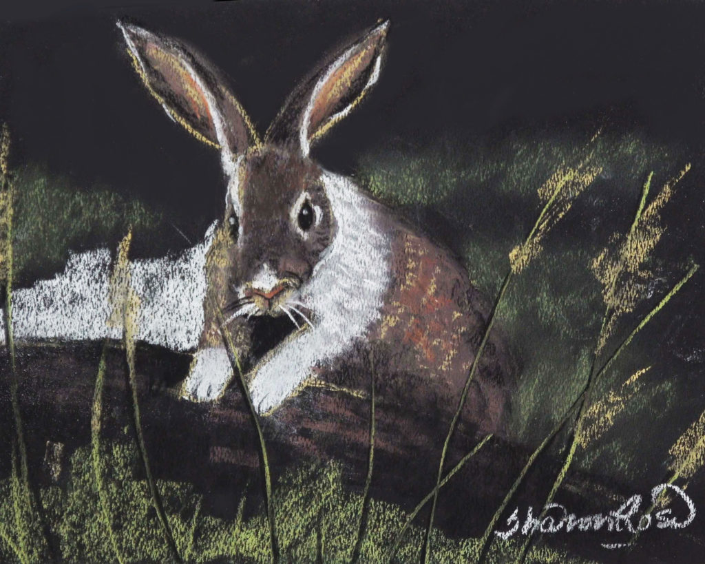 Lessons in NuPastel: Hippity Hop - Creating a Masterpiece